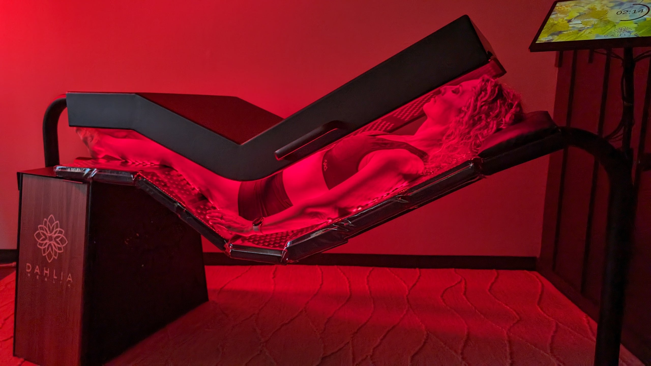 Dahlia Professional - Pinnacle Bed | Dahlia Health LLC